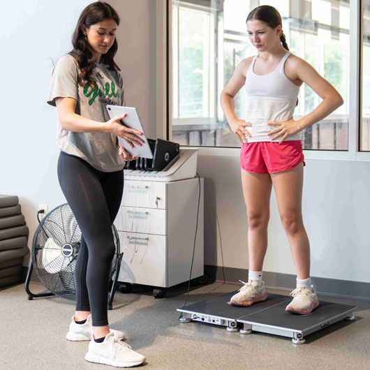 Services-Wellesley – Bando Performance